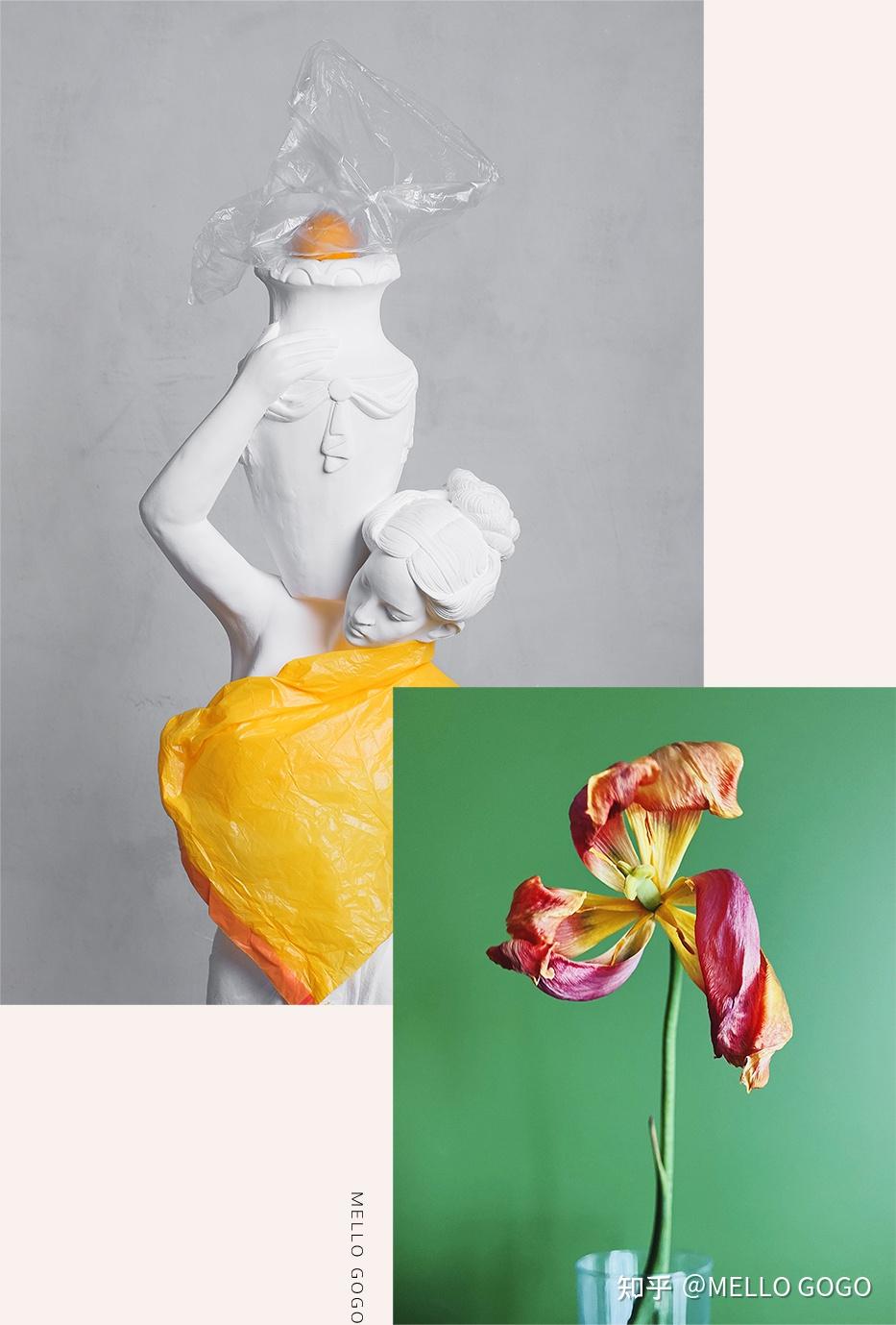 Mello gogo｜一起探索美的诸多可能 - 知乎