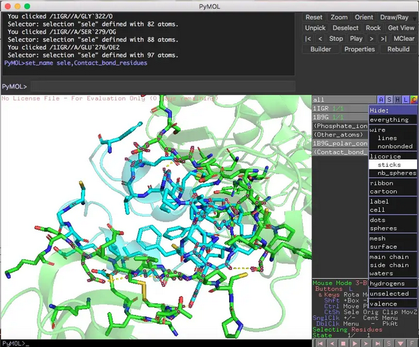 使用 PyMOL 可视化蛋白质-蛋白质对接 - 知乎