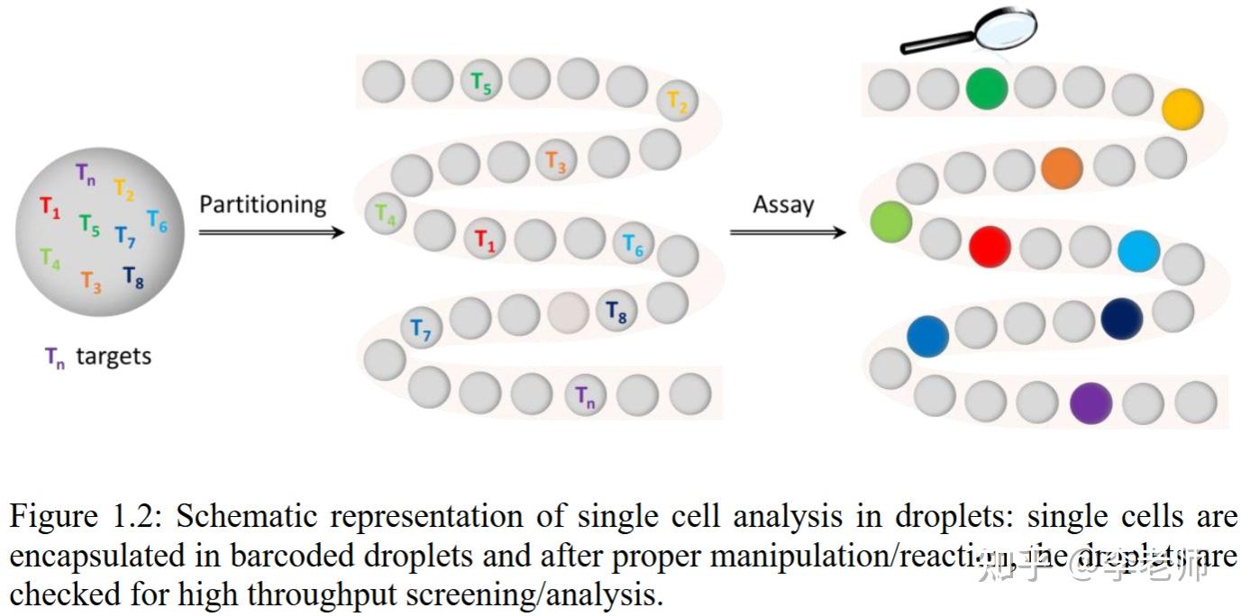 Point-of-Need Pipette Droplet Microfluidics - 知乎