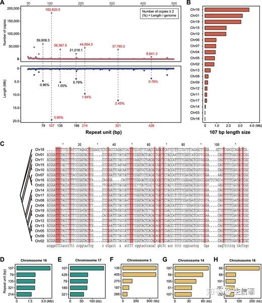 基因组T2T-葡萄基因组 - 知乎