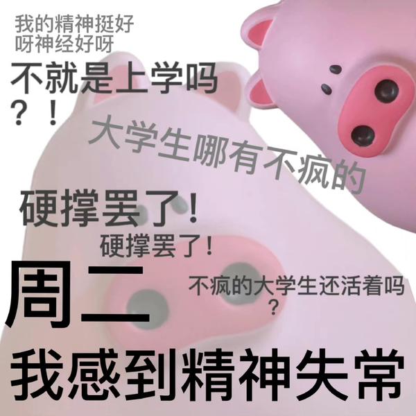 表情包：猪猪表情包 知乎