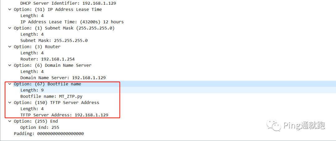 ZTP自动化方式部署网络设备（篇三） - 知乎