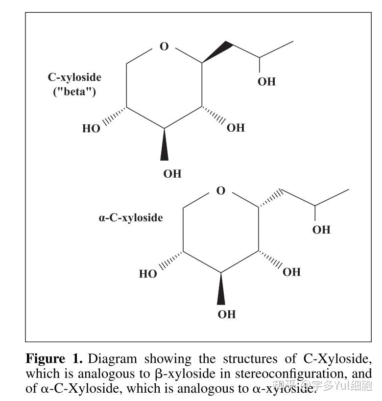 长期使用玻色因Pro-Xylane会加快皮肤衰老？ - 知乎