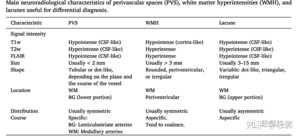 PVS：对血管周围间隙结构和功能的成像 - 知乎