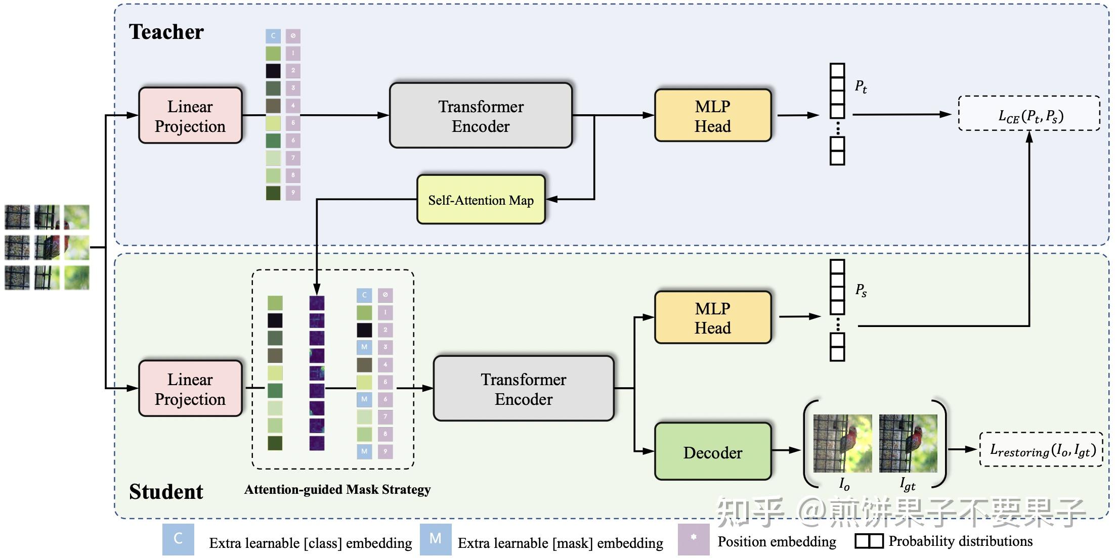 【双模型 mask 自监督】MST: Masked Self-Supervised Transformer for Visual ...