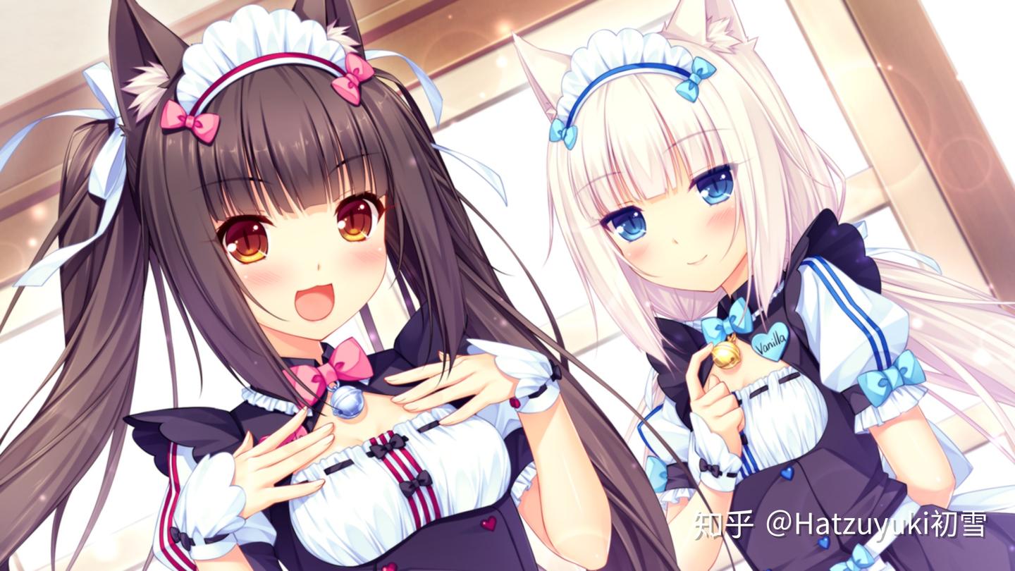我一定会有猫(娘)的qwq————初雪的废萌拔作合集推荐!【二】 知乎