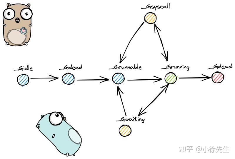 Golang GMP 原理 - 知乎