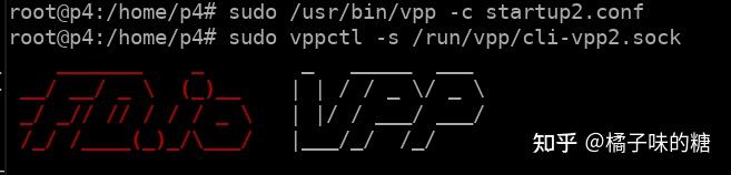 vpp学习2——连接两个vpp实例 - 知乎