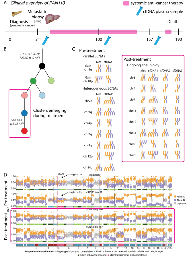 Genome Med | 高灵敏度检测ctDNA！液体活检新方法ACT-Discover助力探索胰腺癌演化 - 知乎