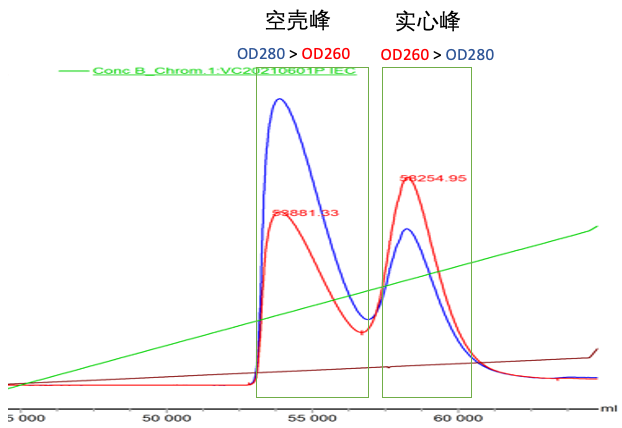 AAV基因治疗火热，CMC是重点：浅谈AAV生产制备中空壳率检测方法 - 知乎