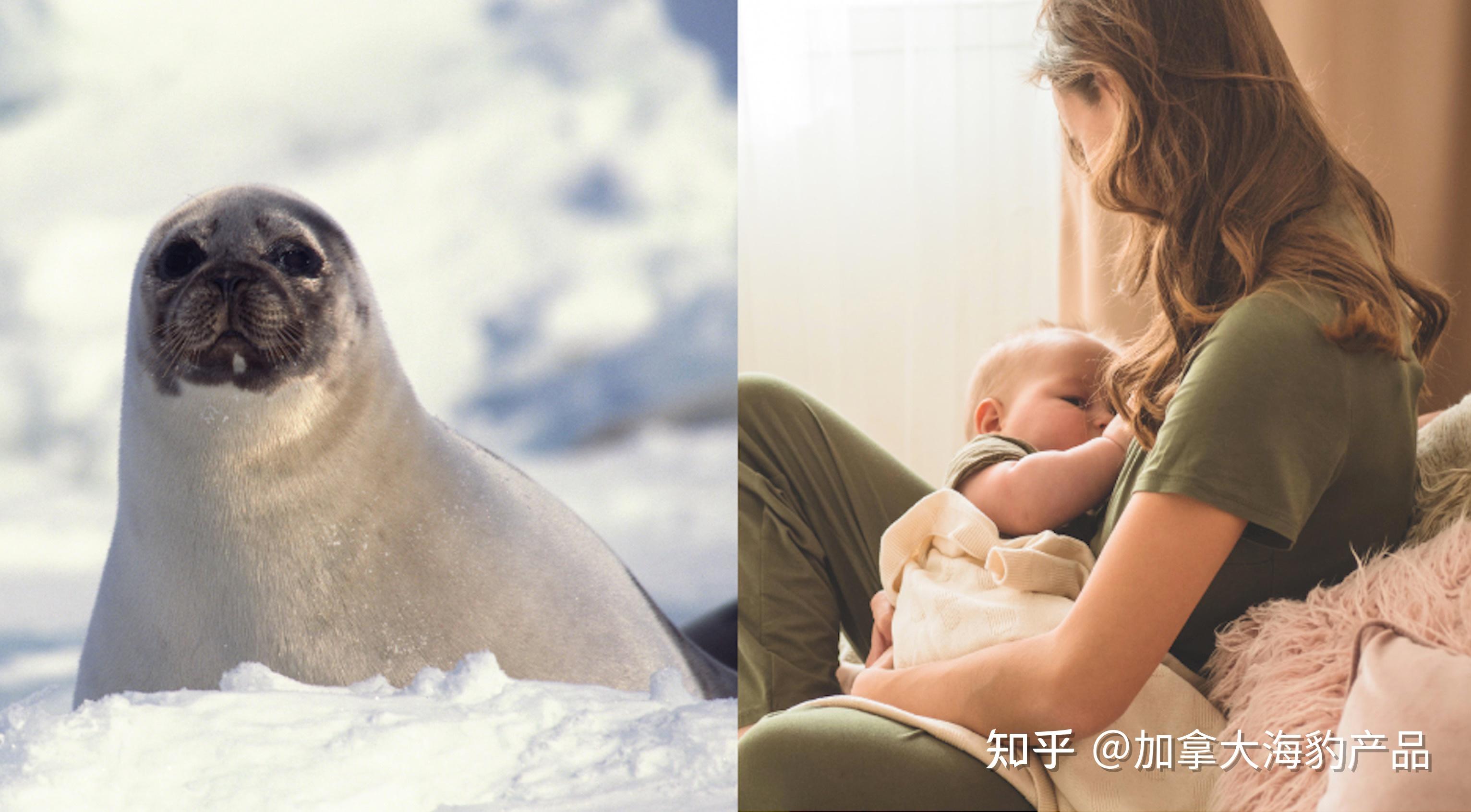 DPA: Omega-3家族的瑰宝 - 知乎