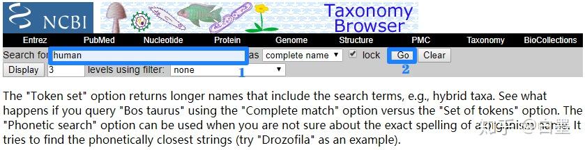 NCBI物种分类数据库（Taxonomy） - 知乎