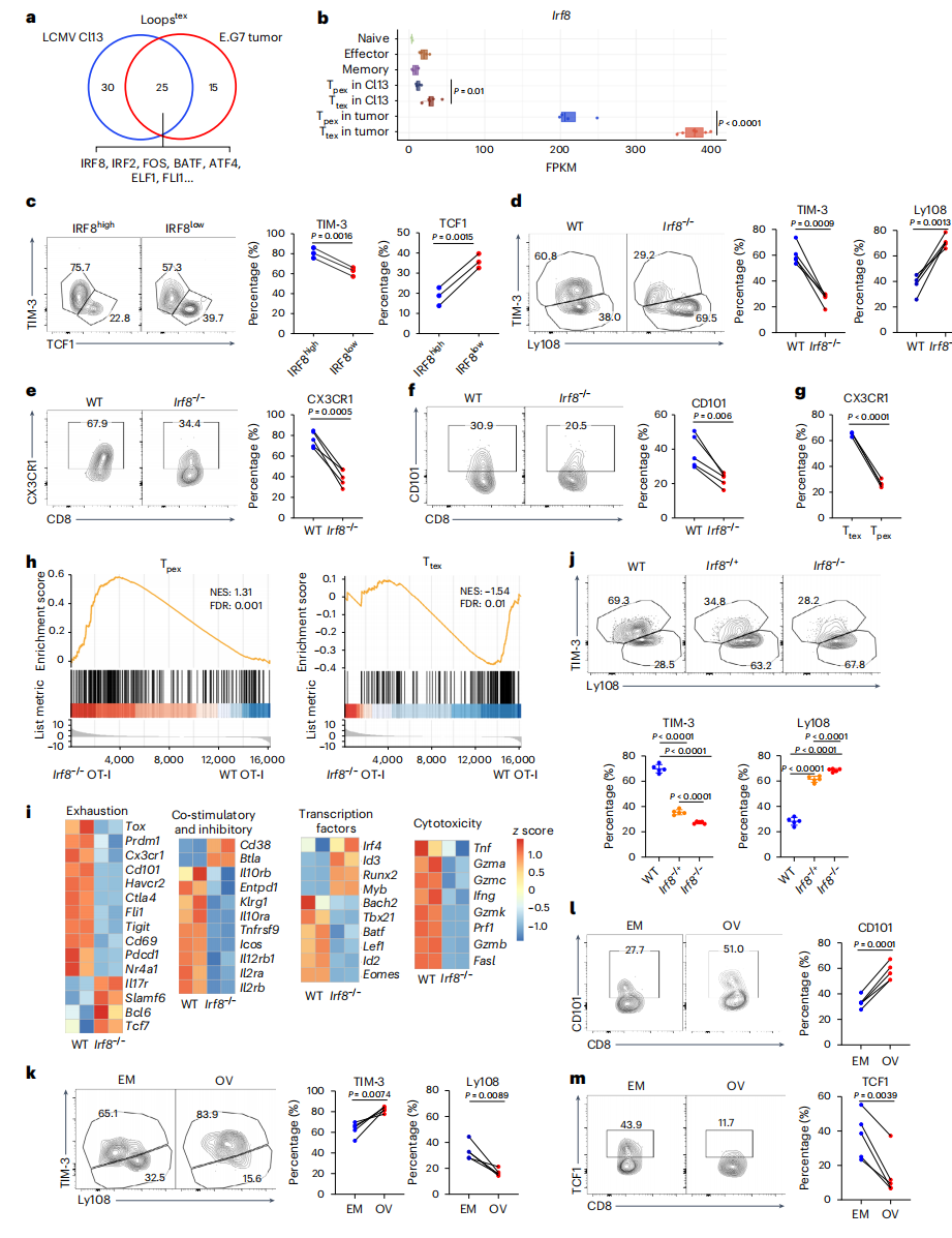 Nature immunology｜董晨院士团队首次在三维基因组层面揭示：染色质空间重构驱动CD8⁺ T细胞耗竭 - 知乎