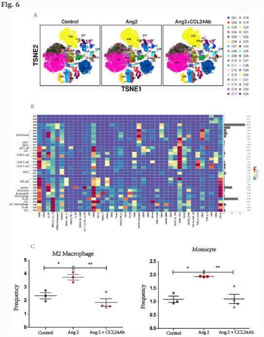 CCL24/CCR3轴通过刺激M2型巨噬细胞极化和成纤维细胞活化在Ang II诱导的心力衰竭中发挥核心作用 - 知乎