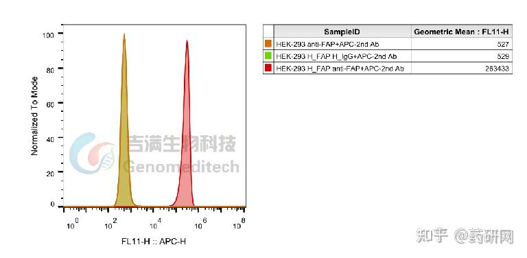 靶向实体瘤另辟蹊径：成纤维细胞激活蛋白(FAP) - 知乎