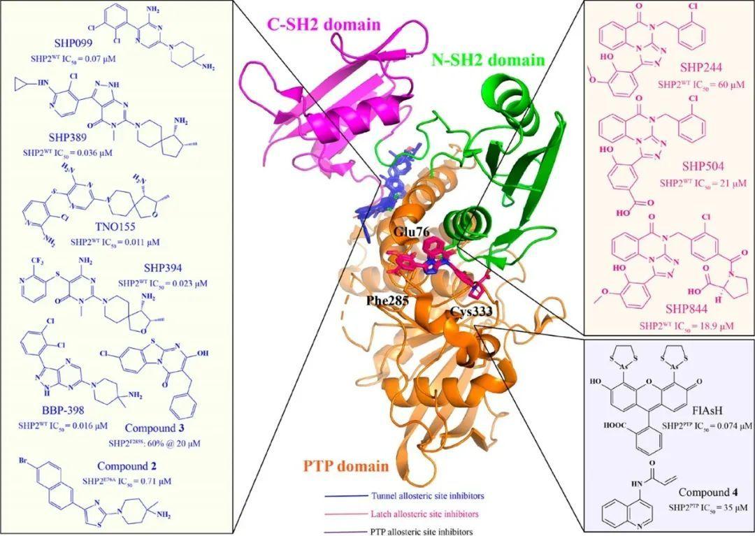 靶向蛋白酪氨酸磷酸酶SHP2用于癌症治疗的策略 - 知乎