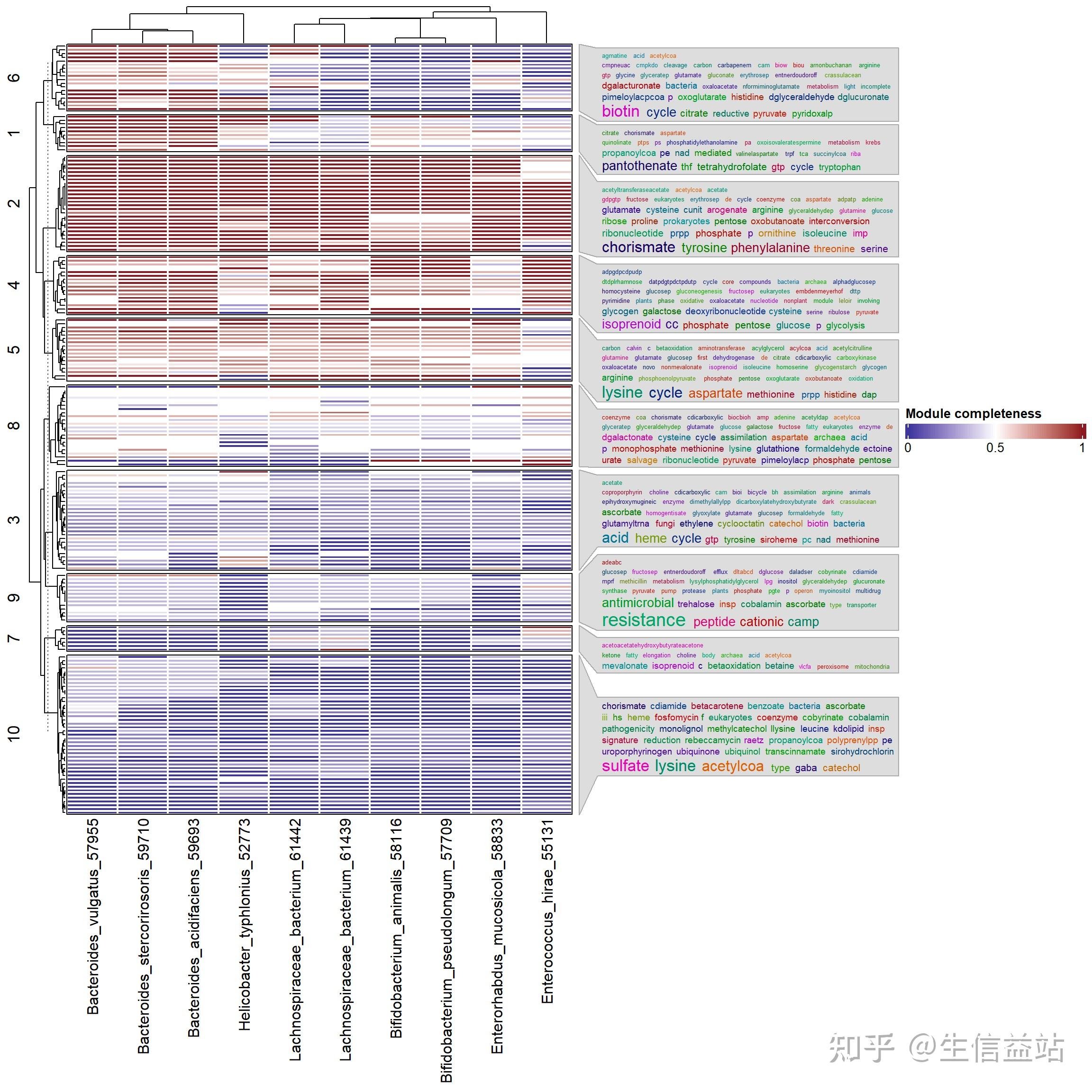 玩转KEGG (三)——遥遥领先pathview！ ggkegg可视化KEGG通路、模块与网络 - 知乎