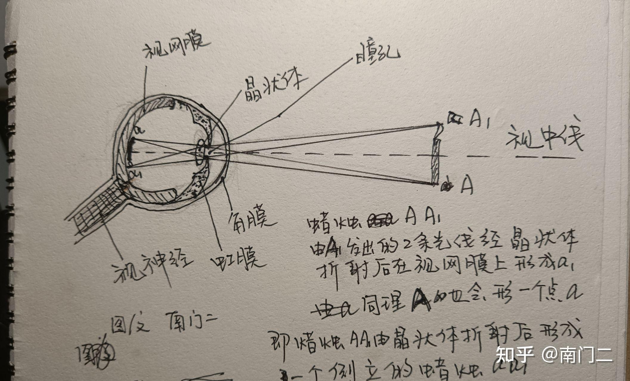形体篇(四)地平线与视中线 知乎