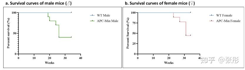 APC-Min小鼠｜肠道肿瘤小鼠模型（结直肠癌模型） - 知乎