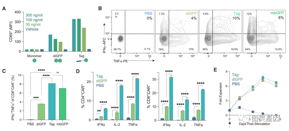 Science | 益生菌引导的CAR-T细胞用于实体瘤靶向治疗 - 知乎
