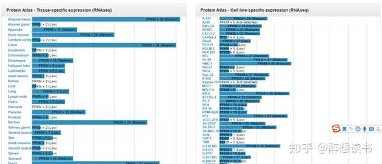 除了Genecards，还有哪些网站可以让你深入了解一个基因？ - 知乎
