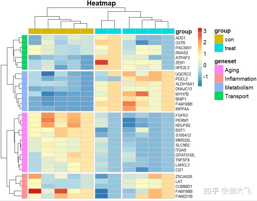R语言热图绘制入门:从heatmap()到ComplexHeatmap - 知乎