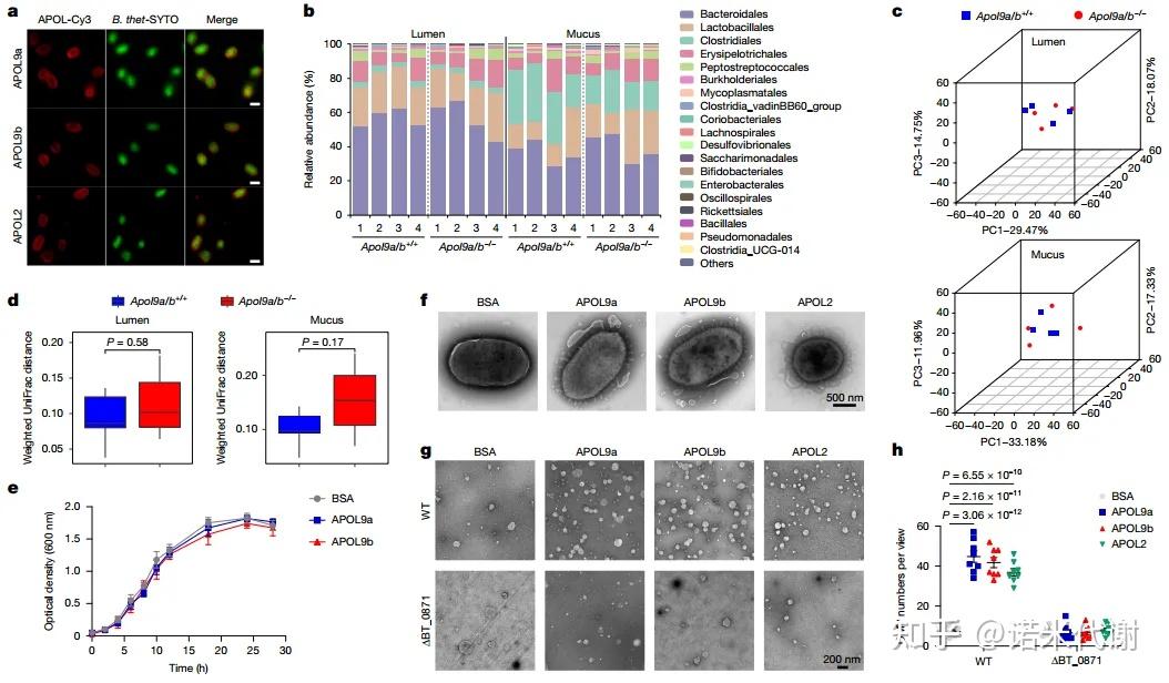 【重磅项目文章】Nature主刊！载脂蛋白L调节肠道免疫新机制 - 知乎
