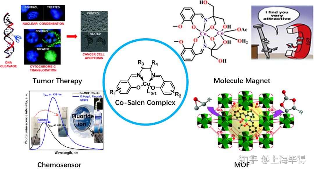Salen配体&Co-Salen络合物的应用潜力与前景 - 知乎