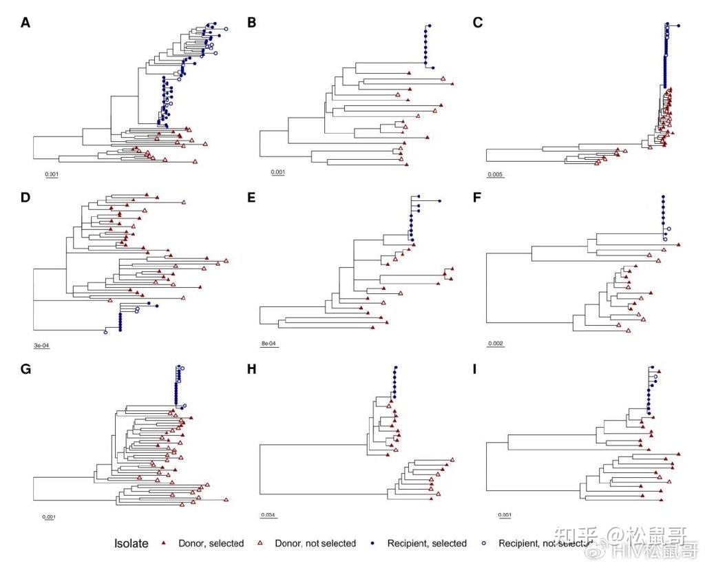 研究揭示：HIV病毒传播的新关键因素—Rev-RRE活性的作用机制 - 知乎
