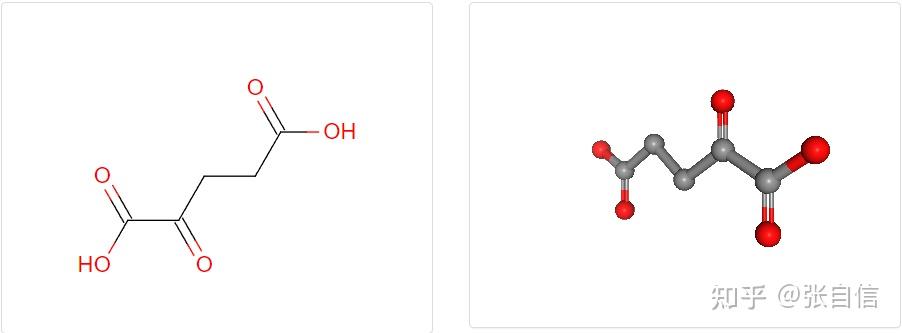 【爆肝万字】基于Rosetta的配体结合位点的设计（Rosetta and the Design of Ligand Binding ...