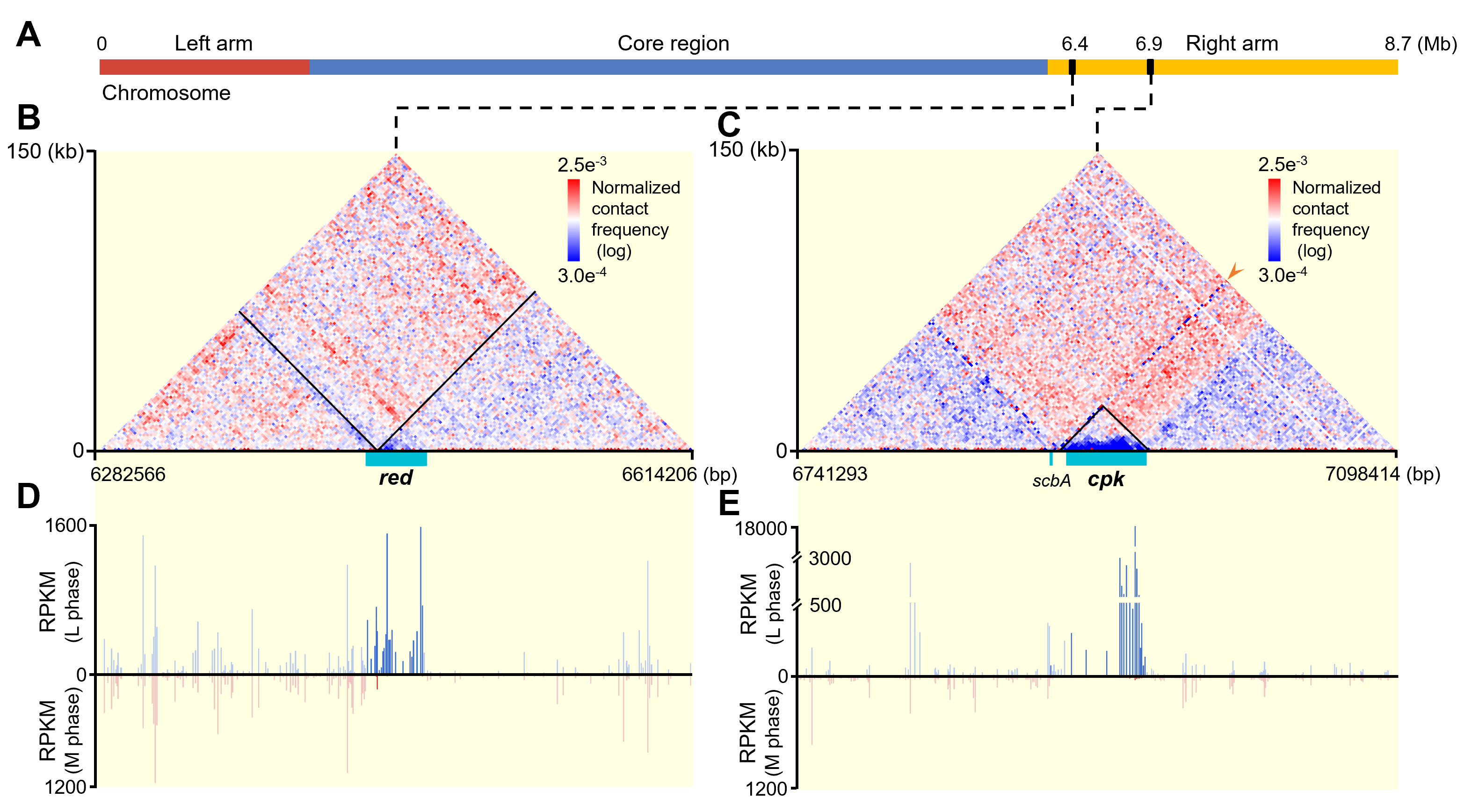 PNAS丨武汉大学孙宇辉教授团队解析链霉菌三维基因组并实现天然产物高产相关应用 - 知乎