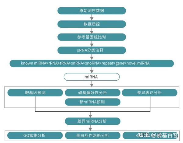 项目文章 | 转录组和small RNA测序联合分析揭示矮牵牛花形态发育的动态调控机制 - 知乎