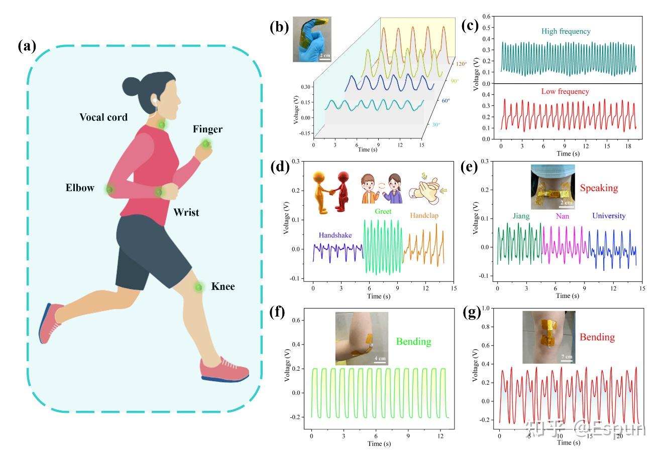 江南大学蒋高明教授团队/英国巴斯大学物理系Kamal Asadi教授团队：静电纺丝制备蛋壳膜蛋白基生物纳米纤维膜，实现多功能压电传感 - 知乎