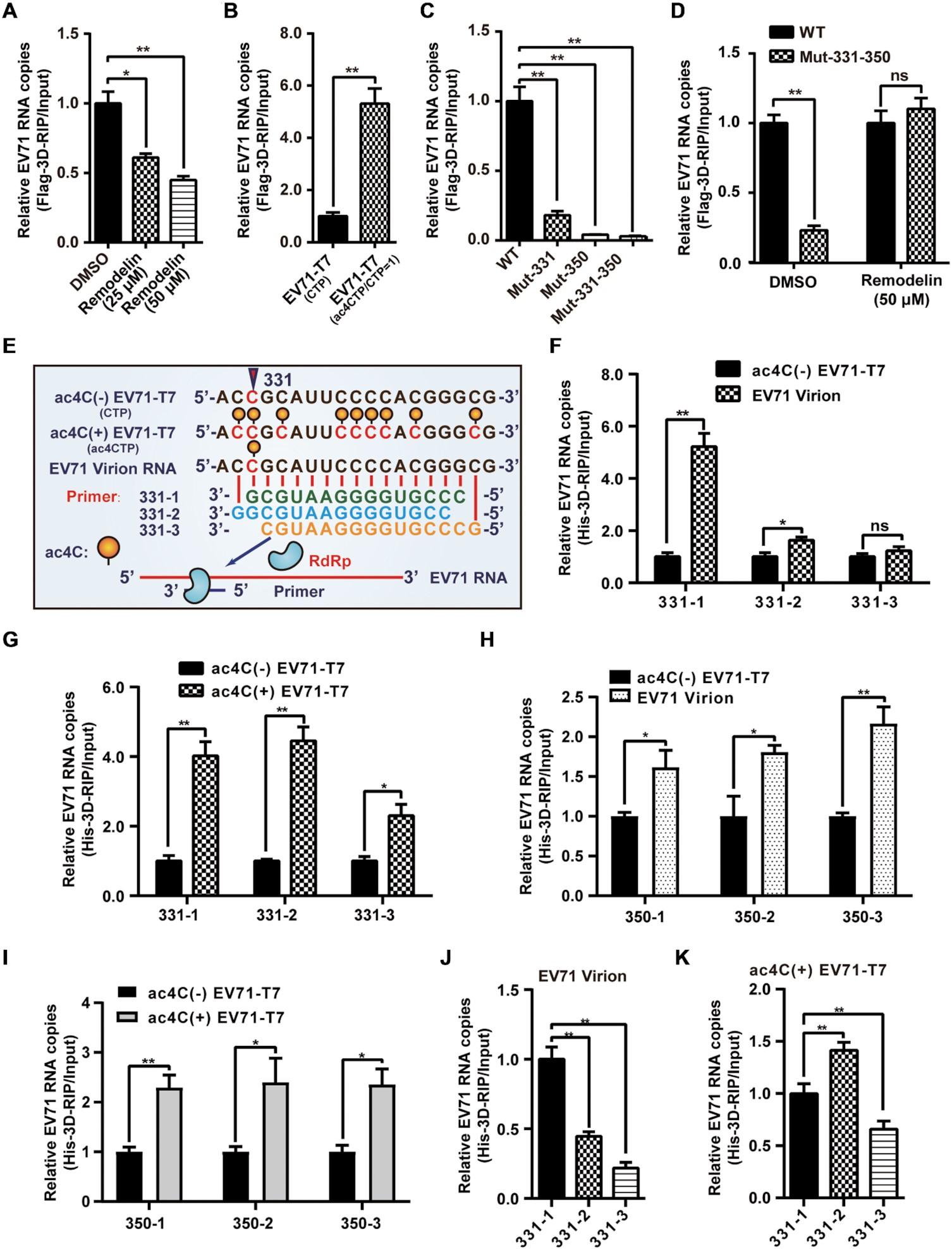 1区，IF=19.16| 云序RNA乙酰化测序acRIP-seq助力病毒复制机制研究！ - 知乎