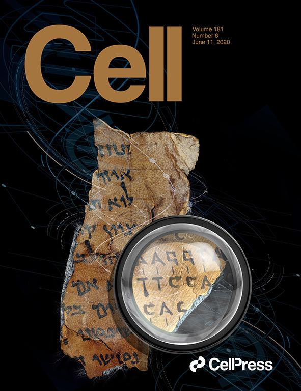 科学与艺术的结合！《CELL》100+张期刊封面鉴赏｜2020年篇 - 知乎