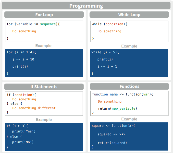 R入门系列（5）：编程基础 - 知乎