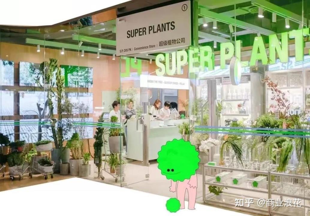 超级植物，基于泛植物的设计基因的情绪品牌，branding、IP和产品如何调整优化？ - 知乎