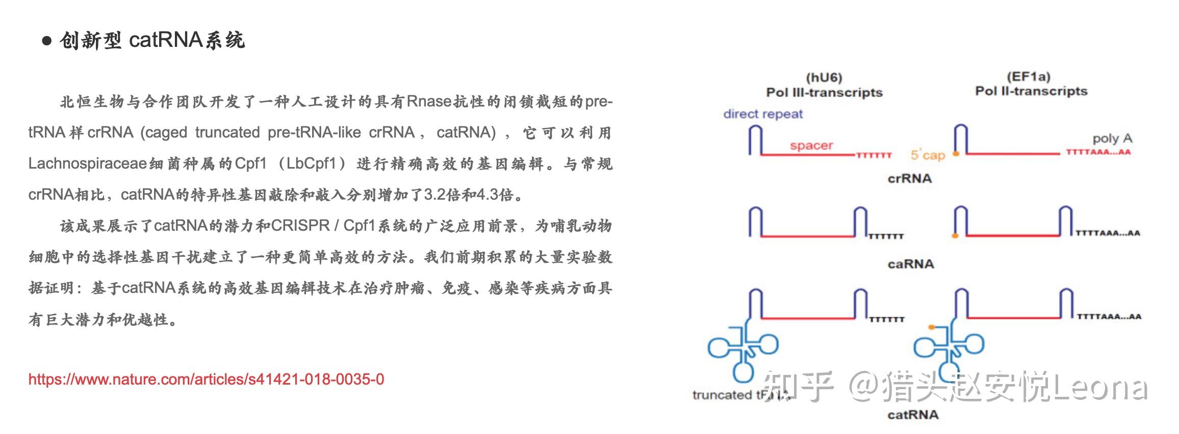 CAR-T：北恒生物BIOHENG - 知乎