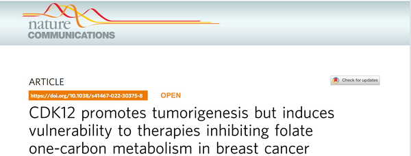 Nat Commun | 转录组+代谢组解析经典靶点CDK12致癌机制 - 知乎