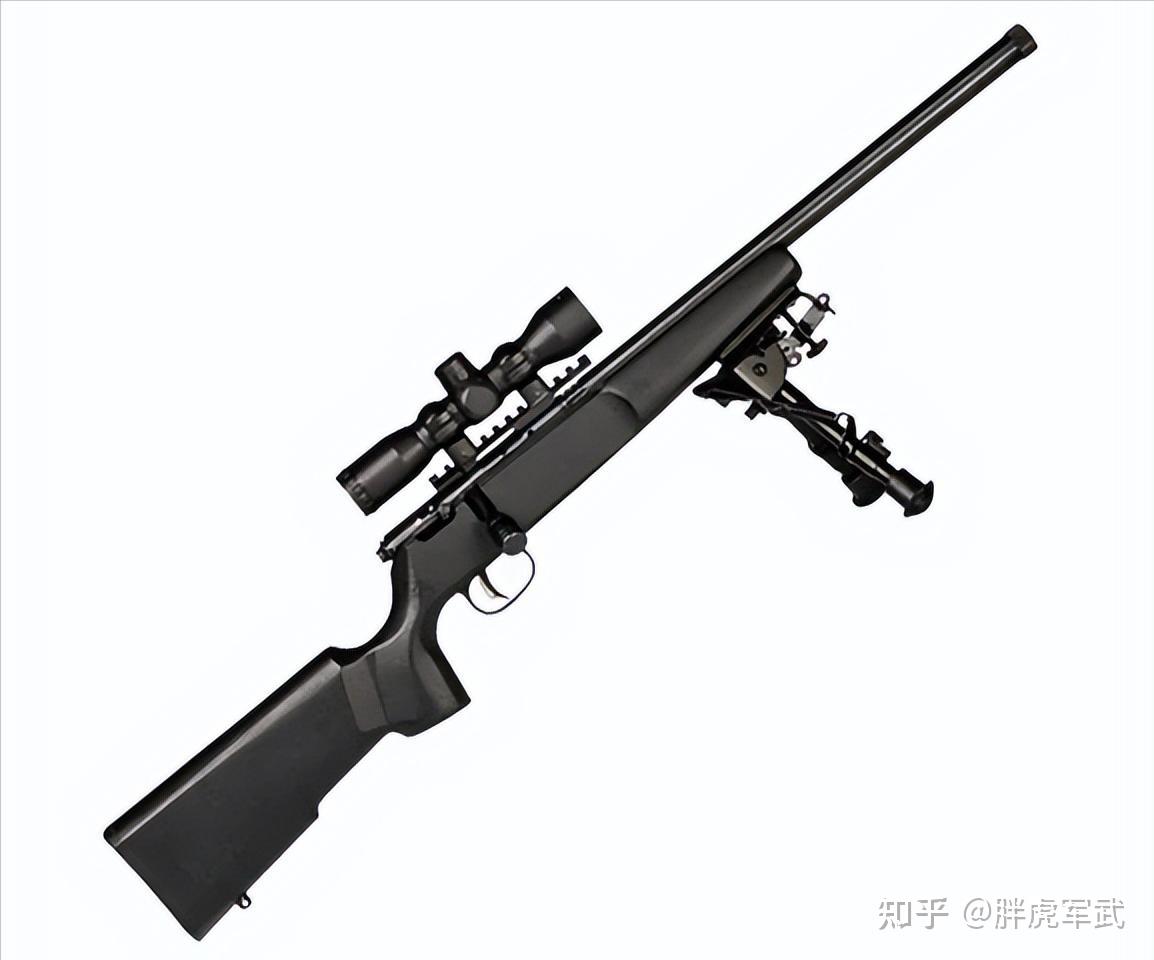 2023年最好的.22 LR 步枪 - 知乎