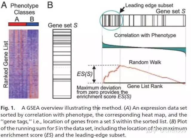 一文掌握GSEA，超详细教程！ - 知乎