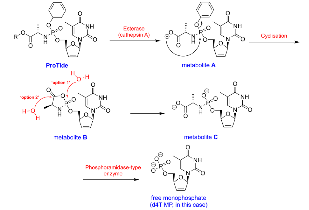 ProTide：前药技术该何去何从？ - 知乎