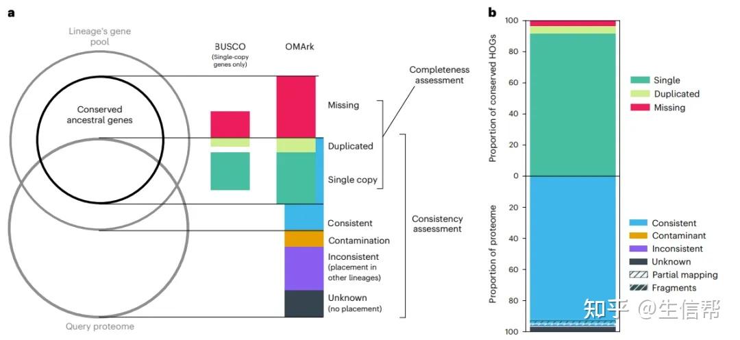 【NBT】比BUSCO还准的基因准确性评估工具OMArk - 知乎