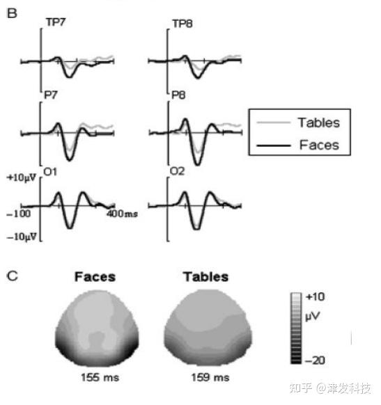 脑电常见的ERP成分 - 知乎