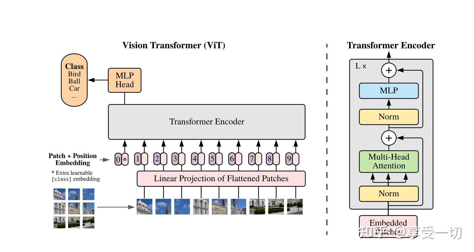 VisionTransformer: Transformer Encoder - 知乎