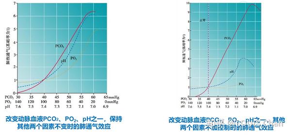 郑州大学《生理学》名词解释、大题汇总 - 知乎