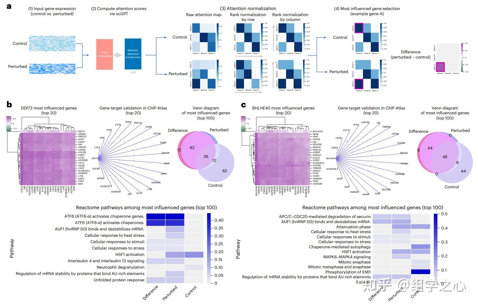 单细胞组学大模型（3）--- scGPT，有非常详细的学习文档和应用说明，且有多种训练数据权重！ - 知乎