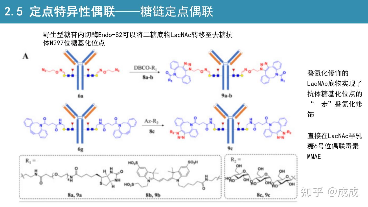 双载荷ADC的构建思路| Antibody-drug conjugates with dual payloads - 知乎