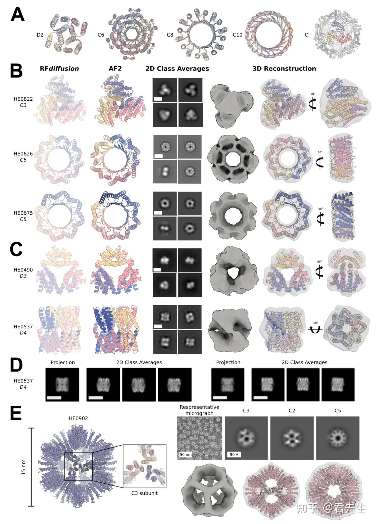 万字长文详细讲解蛋白质设计统一框架RFdiffusion - 知乎