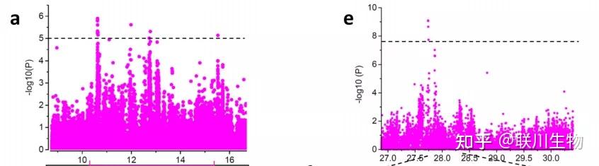 什么是Bonferroni校正？| 群体遗传专题 - 知乎